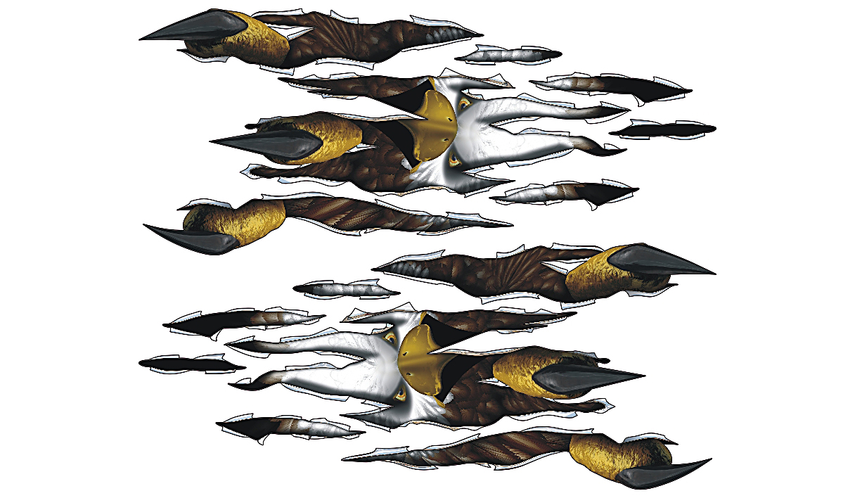 Autoaufkleber Aufkleber Hippie Blumen Reserveradcover - Adler Claw ...