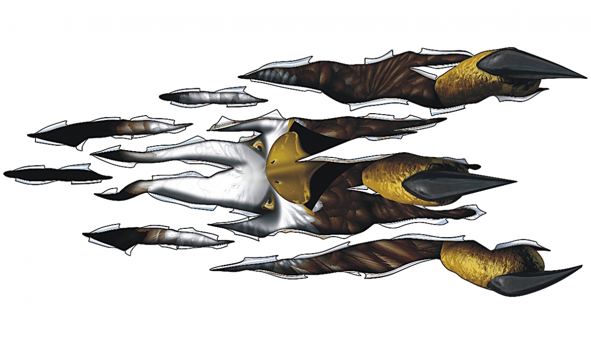 Autoaufkleber Aufkleber Hippie Blumen Reserveradcover - Adler Claw ...